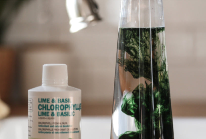 Chlorophyll: Essential to Life – Origin & Benefits — Natural Food ...